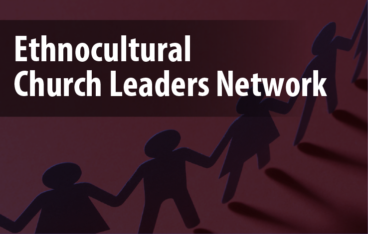 Ethnocultural Networks Leads network